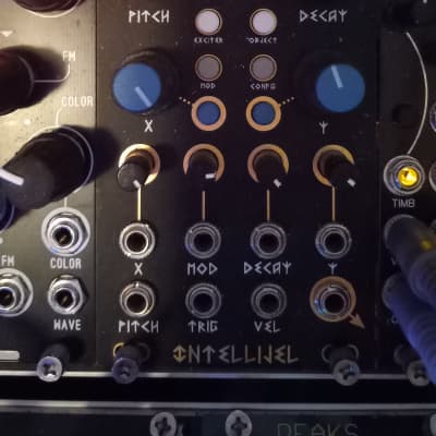 Intellijel Plonk - Physical Modelling Percussion Synthesizer | Reverb