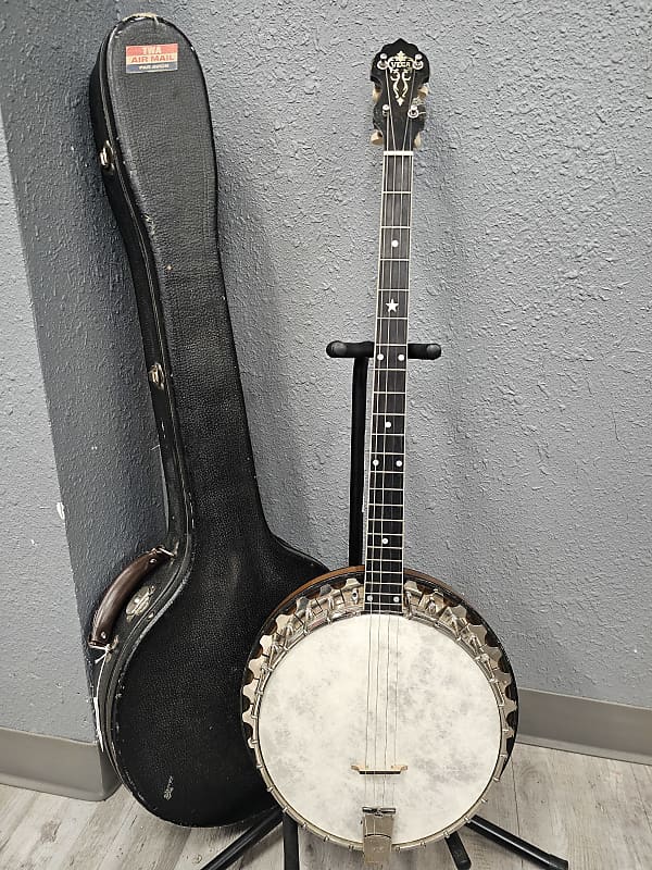 VEGAPHONE PRO 20'S PLECTRUM | Reverb