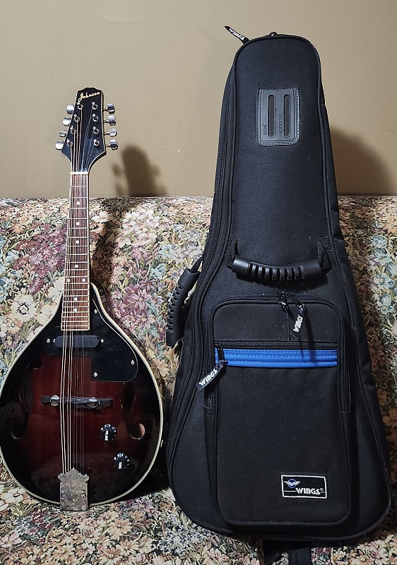 Johnson Acoustic Electric Mandolin with New Strings and gig | Reverb