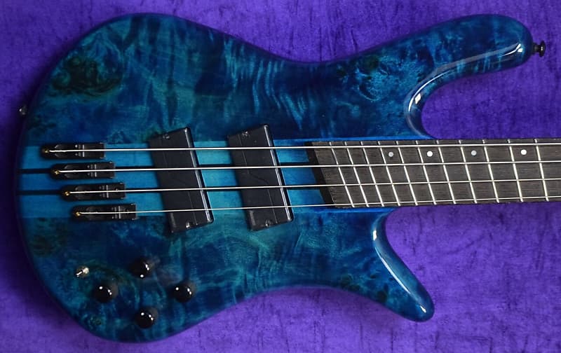Spector NS Dimension 4, Black and Blue Gloss w/ Wenge | Reverb