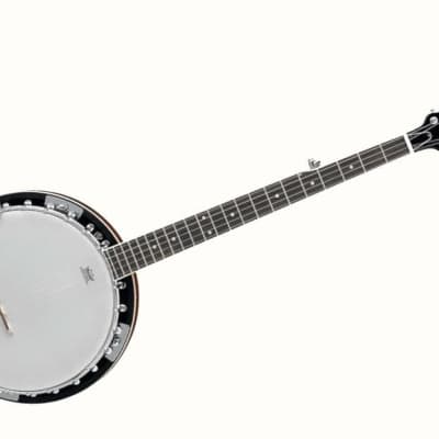Ibanez B50 5-String Banjo with Mahogany Back + Aluminum Ring | Reverb