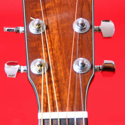 Bestler D-215CEG Cutaway Acoustic Electric Guitar With Case | Reverb