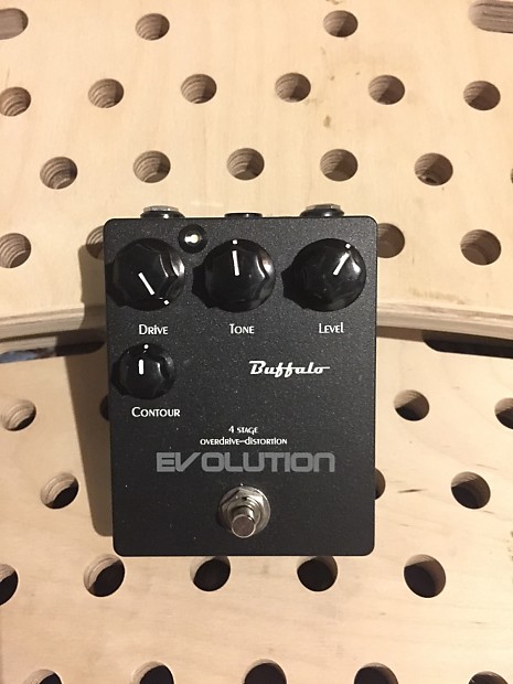 Buffalo FX Evolution | Reverb