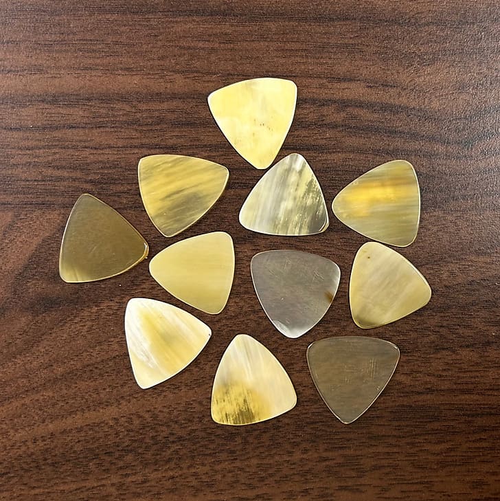 Buffalo Horn Pick (10 pcs) (17) | Reverb
