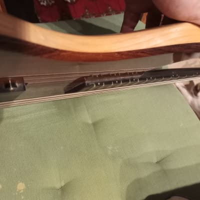 Modulus BassStar Early 80's - Cocobolo | Reverb Deutschland