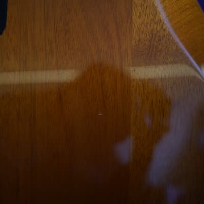 Roscoe SKB-3006 - ZEBRA TOP - Fretless 6 string bass | Reverb