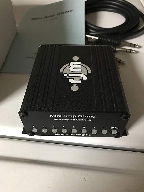 Rjm Mini amp gizmo | Reverb