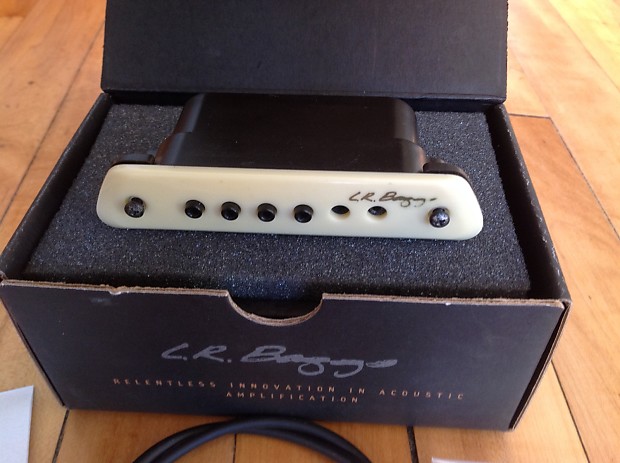 LR Baggs M1 Acoustic Guitar PIckup | Reverb