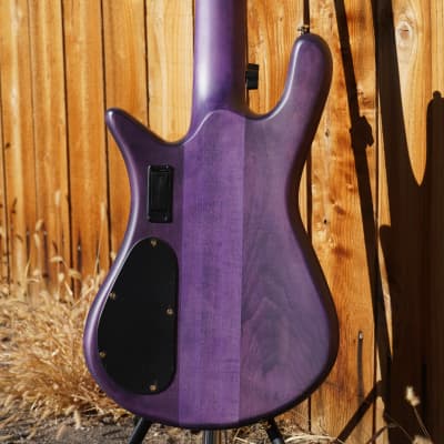 Spector Skyler Acord Signature Violet Stain Finish 5-String | Reverb