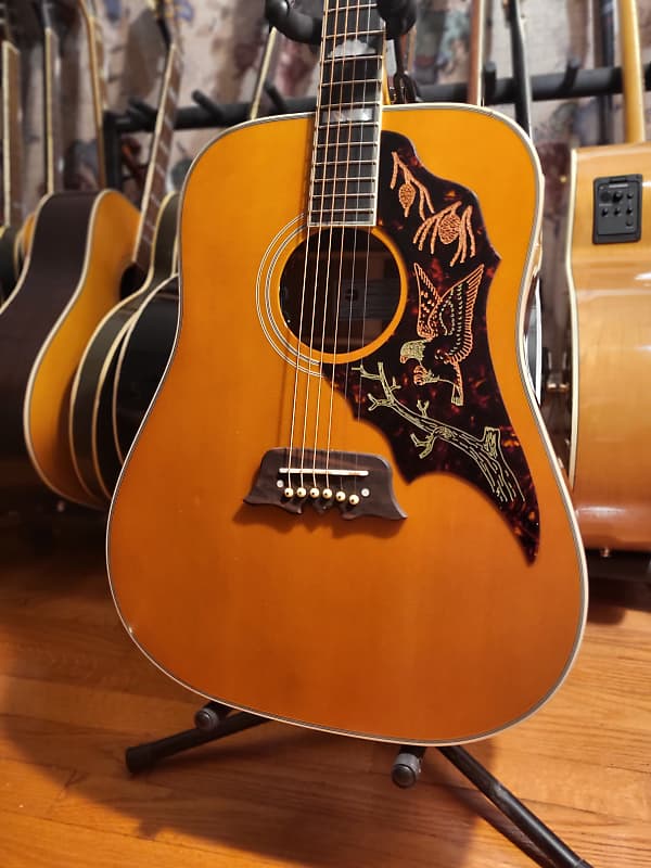 Epiphone Masterbilt FT 120 Excellente Acoustic-Electric | Reverb