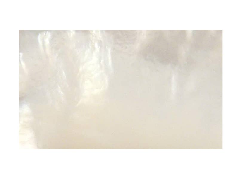 Incudo White Mother of Pearl Inlay Blank - 50x30x1.5mm | Reverb