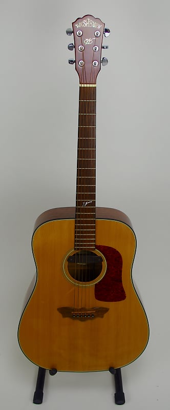 Washburn D29-S 1999 *RARE* - w/Gig Bag | Reverb