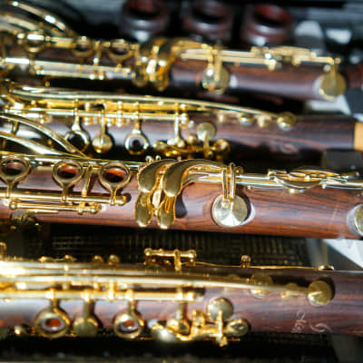 Ricardo Morales' Last Personal Set of Backun MoBa Cocobolo | Reverb