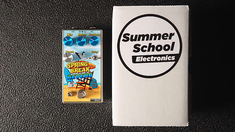 Summer School Electronics Spring Break Reverb Delay LIKE NEW | Reverb