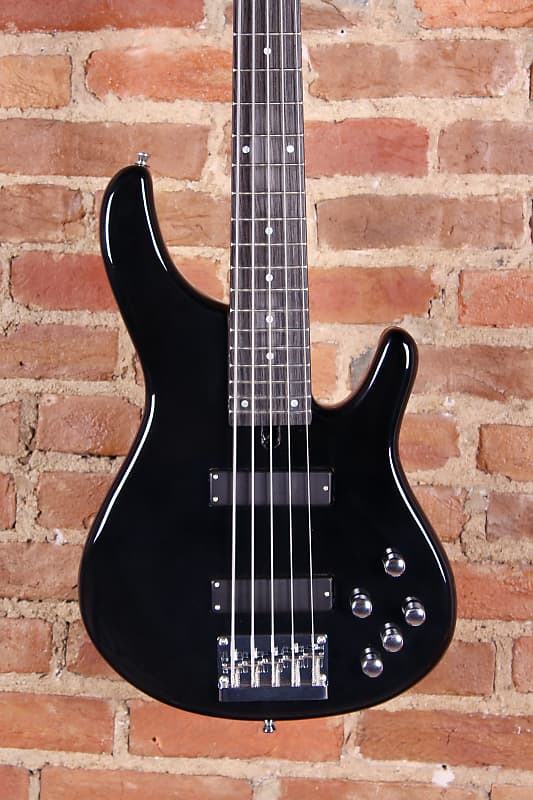 Tagima Classic Series Millenium 5 Black | Reverb