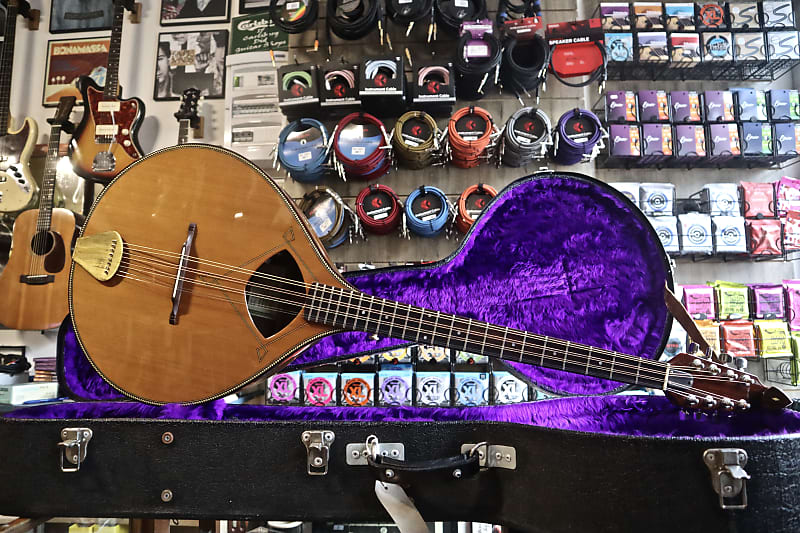 Joe Foley Bouzouki 2011 | Reverb