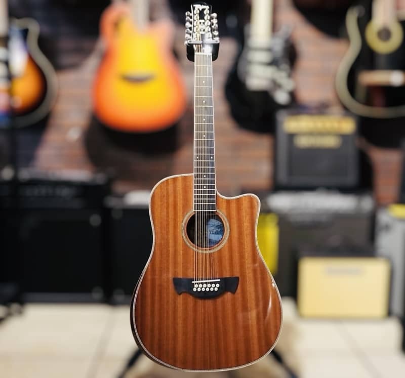 Docerola Tagima Sierreña-XII-EQ-NT Con Bridge Doctor Y | Reverb