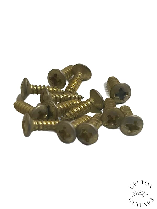Set of 13 Relic Gold Pickguard Backplate Screws Aged For | Reverb