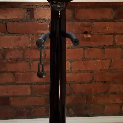 Schecter C-1 She-Devil Black Gloss She Devil | Reverb