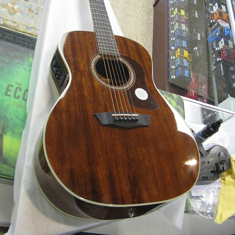 Washburn HG120SWEK Gloss Natural All Solid Wood Acoustic | Reverb