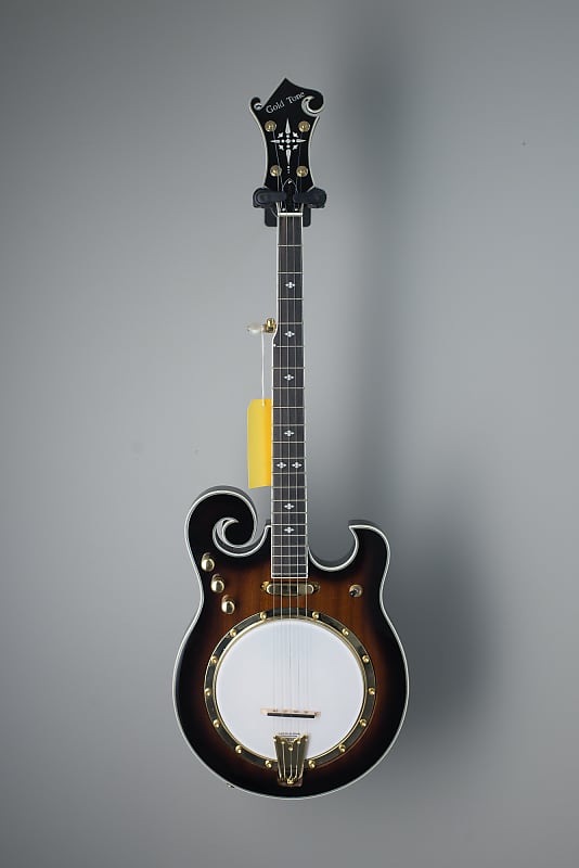 Gold Tone Crossfire Electric Banjo EBM-5 with case | Reverb