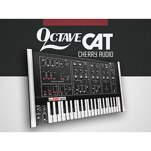 Cherry Audio Octave Cat Virtual Synthesizer Plug-In | Reverb UK