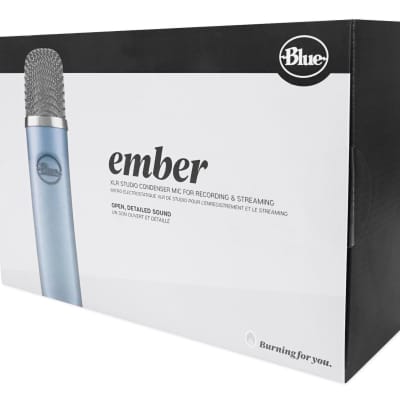 Blue Ember Condenser Recording Microphone+Beyerdynamic DT 240 | Reverb