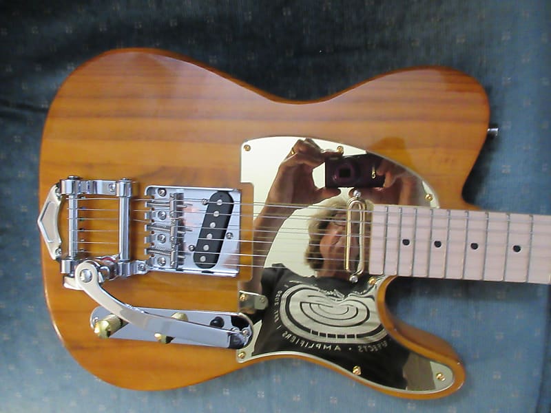~Cashner~ TeleCaster-Style w/Whammy | Reverb