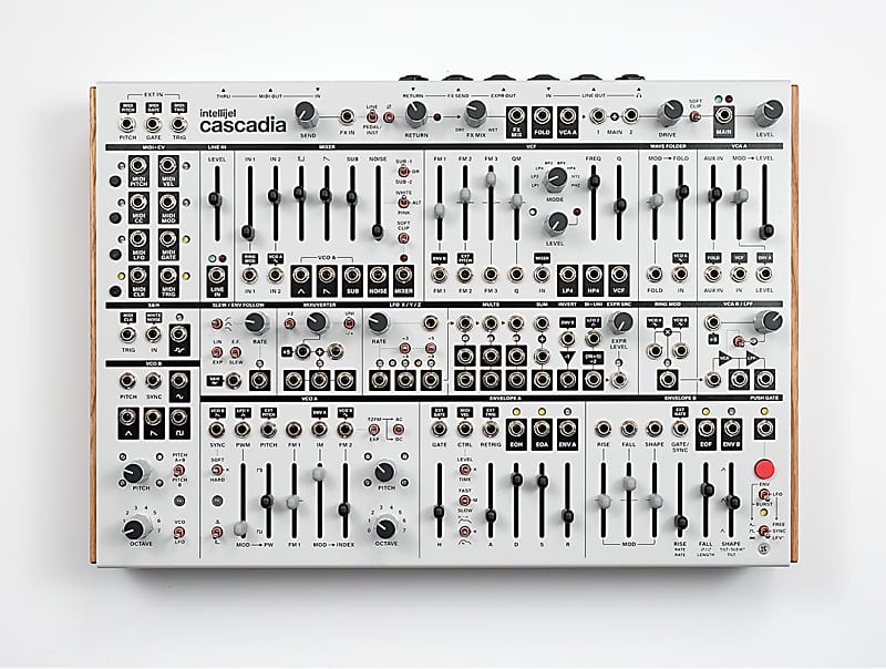 INTELLIJEL CASCADIA SEMI-MODULAR SYNTHESIZER-WHITE FOG : | Reverb