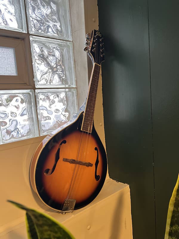 Beginner Rogue Mandolin - Sunburst | Reverb
