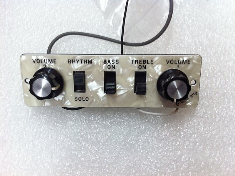 New Hofner CT Bass Guitar Control Panel 2022 | Reverb