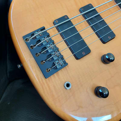 Human Base BaseX 5 Fretless 90s - natural | Reverb