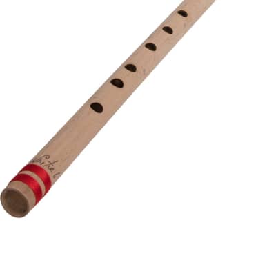 Banjira Bulbul Tarang (Indian Banjo) 23" | Reverb