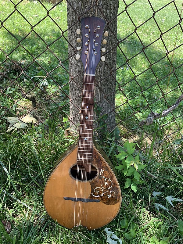 1930s Regal Fancy Mandolin - ReNeck and Rebraced | Reverb