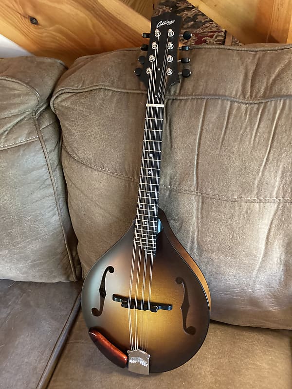Collings MT, A Model Mandolin, Engelmann Spruce, Maple, 2019 | Reverb