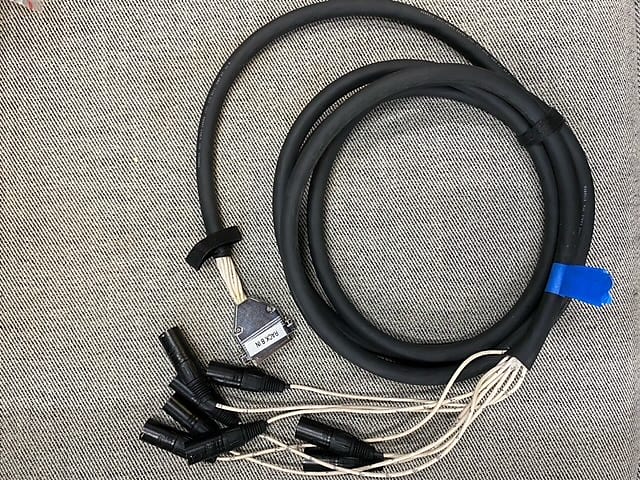 Neutrik 12-foot DB25 to XLR-Male Analog Snake Cable | Reverb