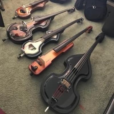 Azola Bug bass 5 string | Reverb