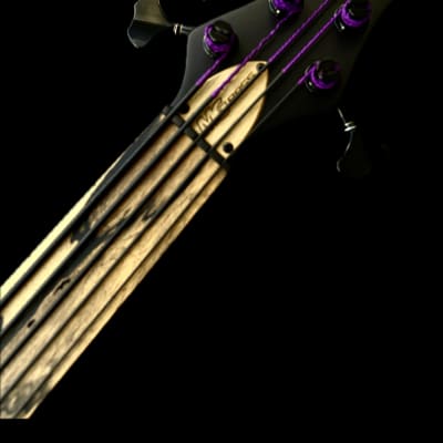 MGbass infinity Ghost 5 - Fretless NAMM 2025 model - piezo | Reverb