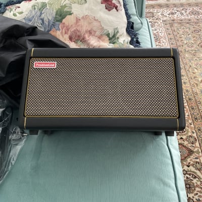 Spark 40 positive grid | Reverb