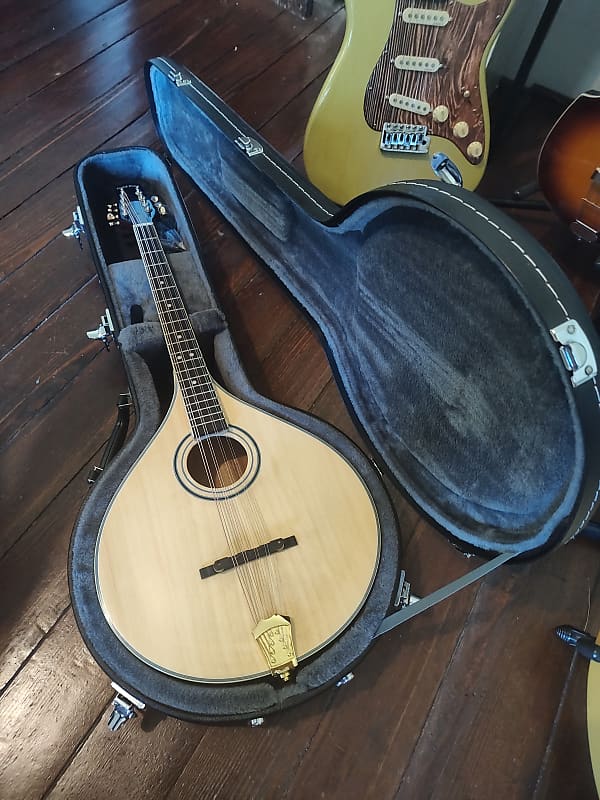2024 Gold Tone OM-800+ Octave Mandolin | Reverb