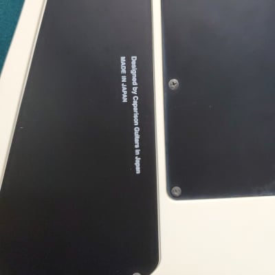 Caparison Dellinger CA-PW Christopher Amott (Arch Enemy) | Reverb UK