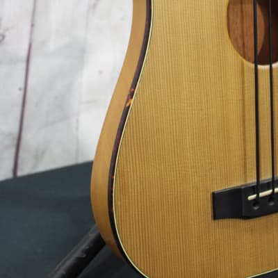 Carvin AC40 Acoustic-Electric Fretless Bass w/ Hardshell Case | Reverb