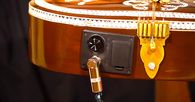 Electric Sitar. Professional/Concert Ready with customized | Reverb