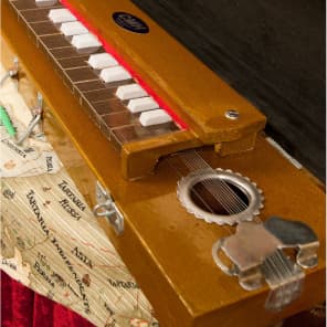 banjira Bulbul Tarang (Indian Banjo) 23" | Reverb