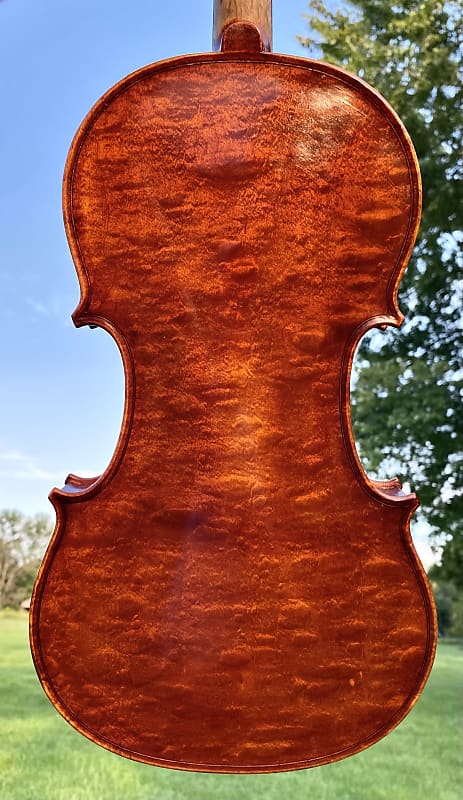 Gorgeous Blister Shell Maple European Violin 4/4 | Reverb