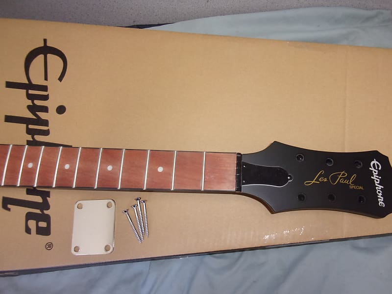 Epiphone Neck Project Cracks at the Nut + Neck Plate project | Reverb