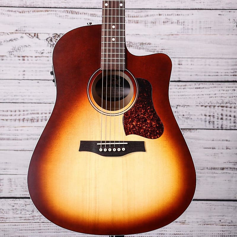Seagull Entourage Acoustic/Electric Guitar | Autumn Burst | Reverb