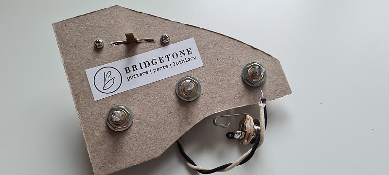 Bridgetone Strat style pre-wired kit | Reverb