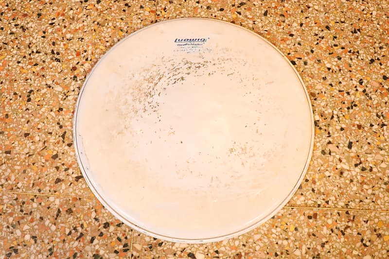 Ludwig 14" Weather Master Batter Drum Head Vintage | Reverb Canada