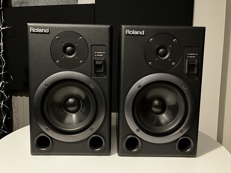 Pair of Roland DS-5 Powered Studio Monitors (Digital/Analog) | Reverb